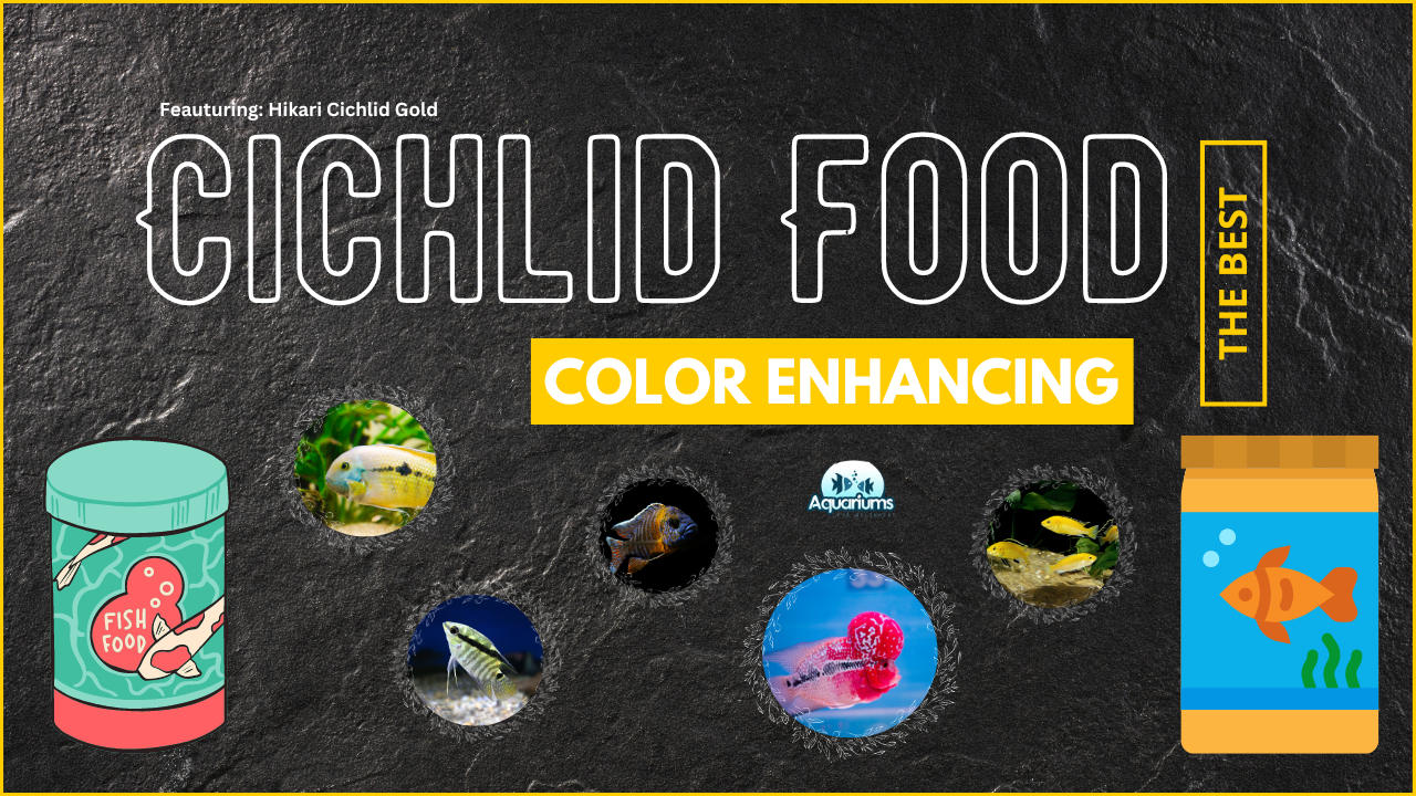 is food coloring safe for fish