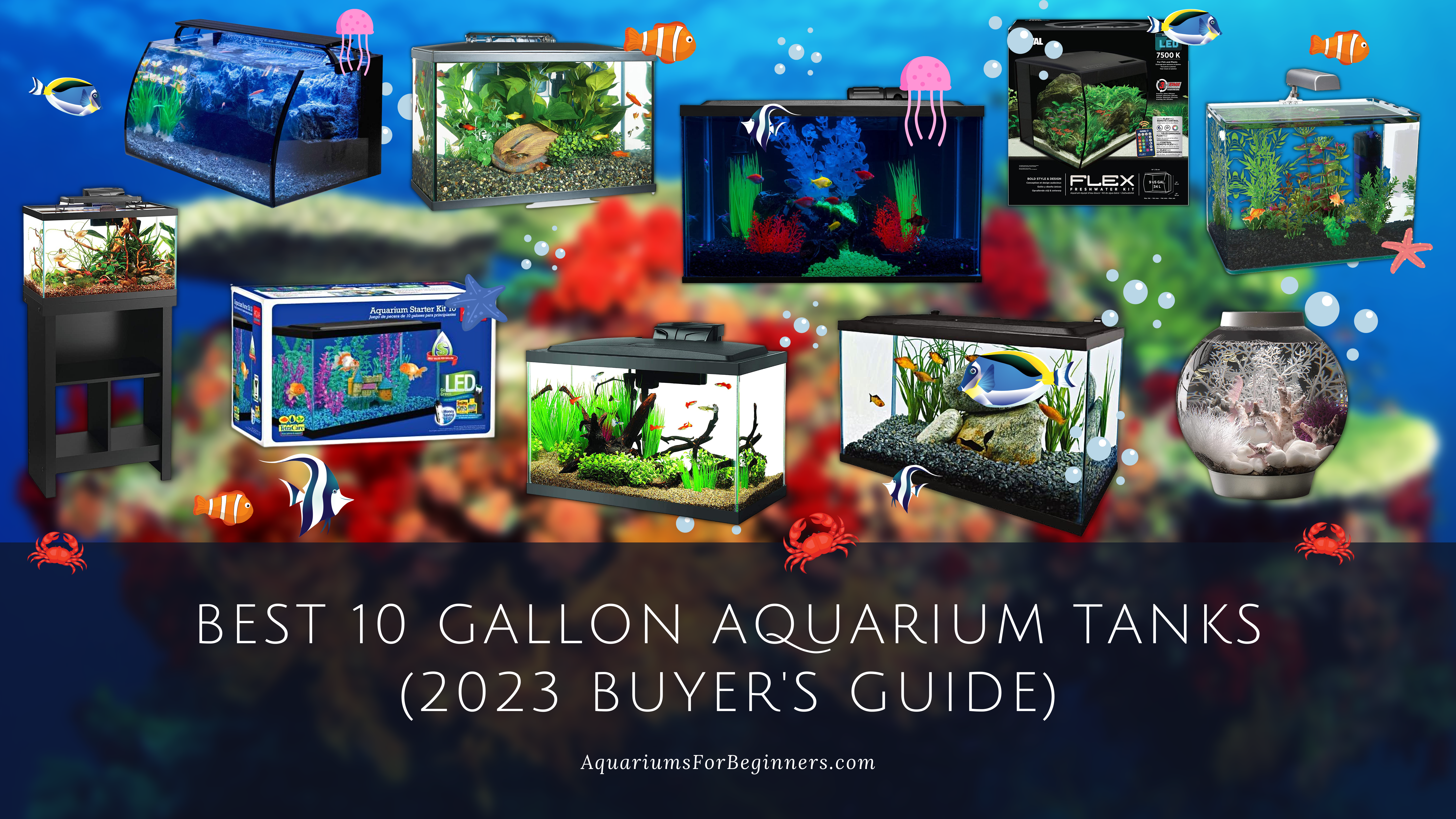 Best 10 Gallon Aquarium Tanks (2024 Buyer’s Guide) – Aquariums For ...