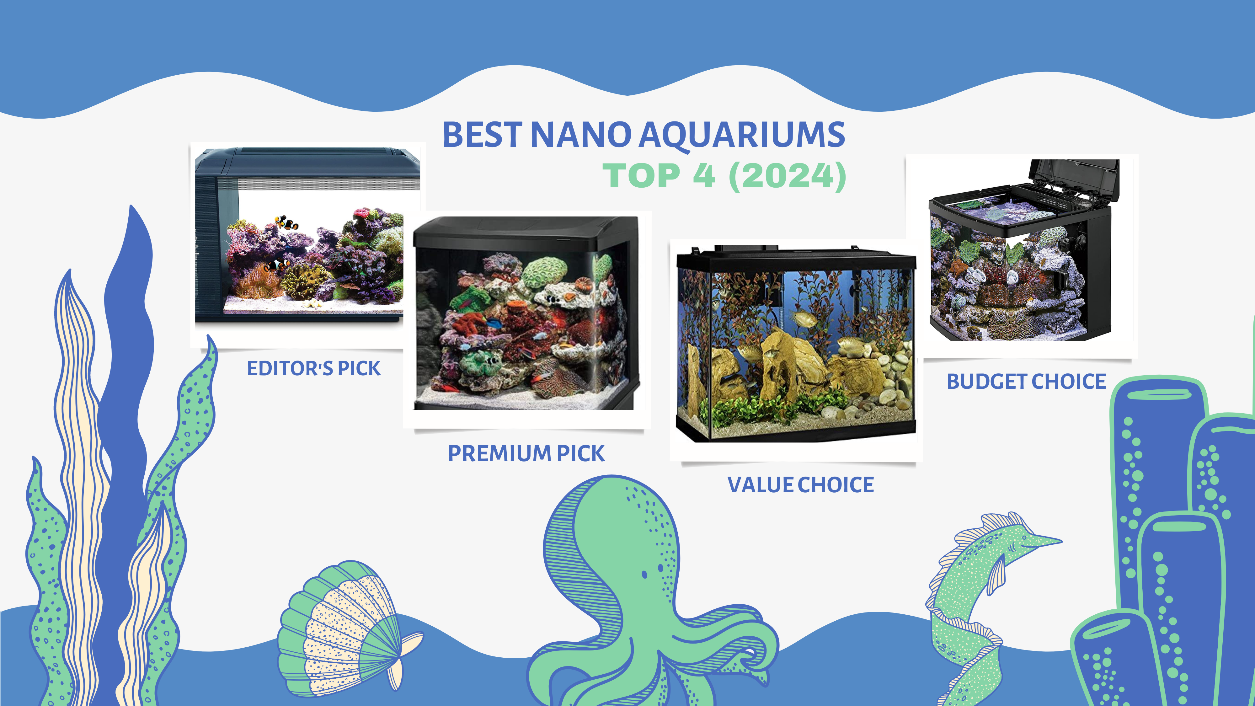 Best Nano Aquariums | Top 4 Pros & Cons (April 2024) – Aquariums For ...