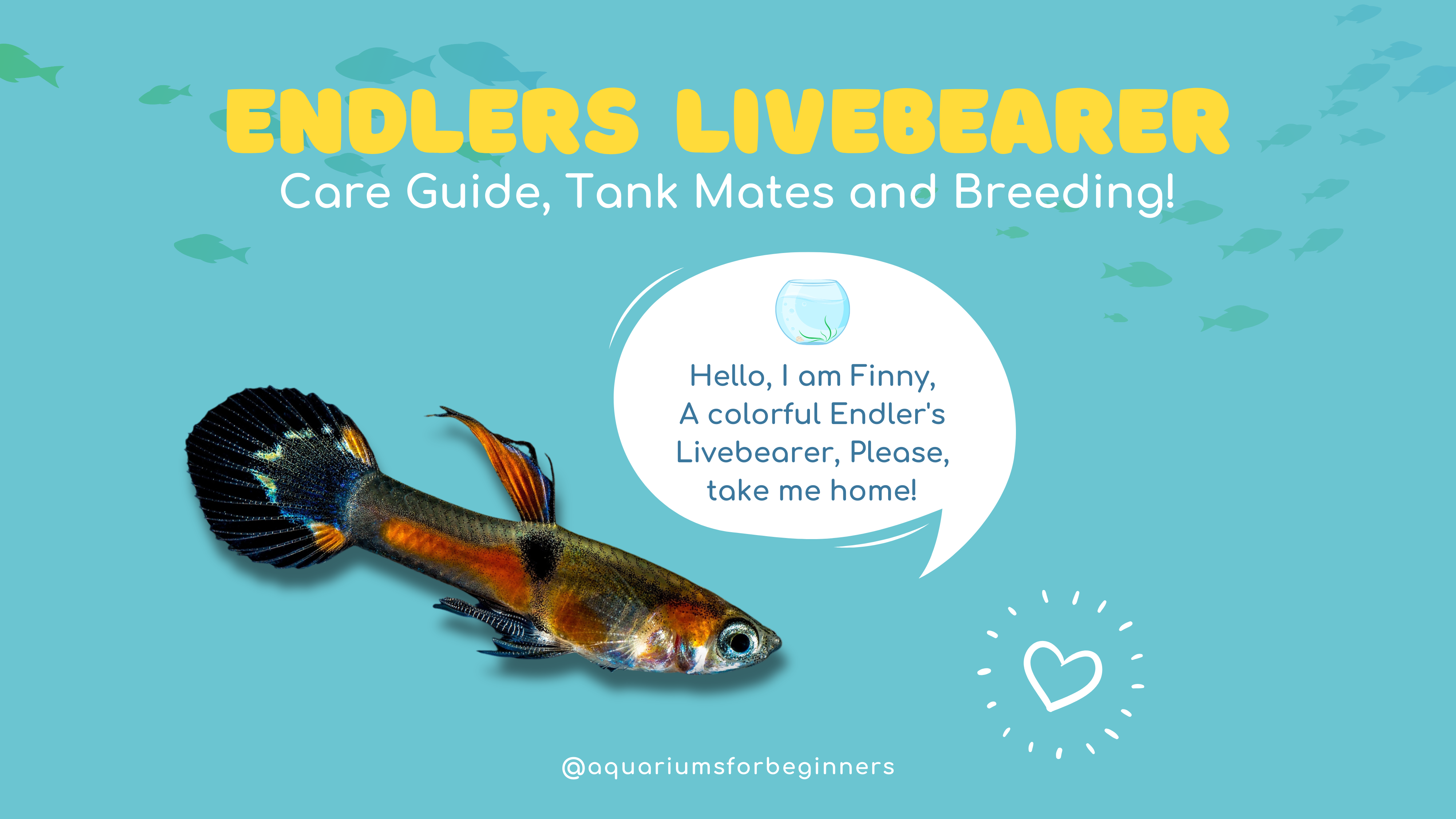 Endler's Livebearer: Care Guide, Tank Mates and Breeding! – Aquariums ...