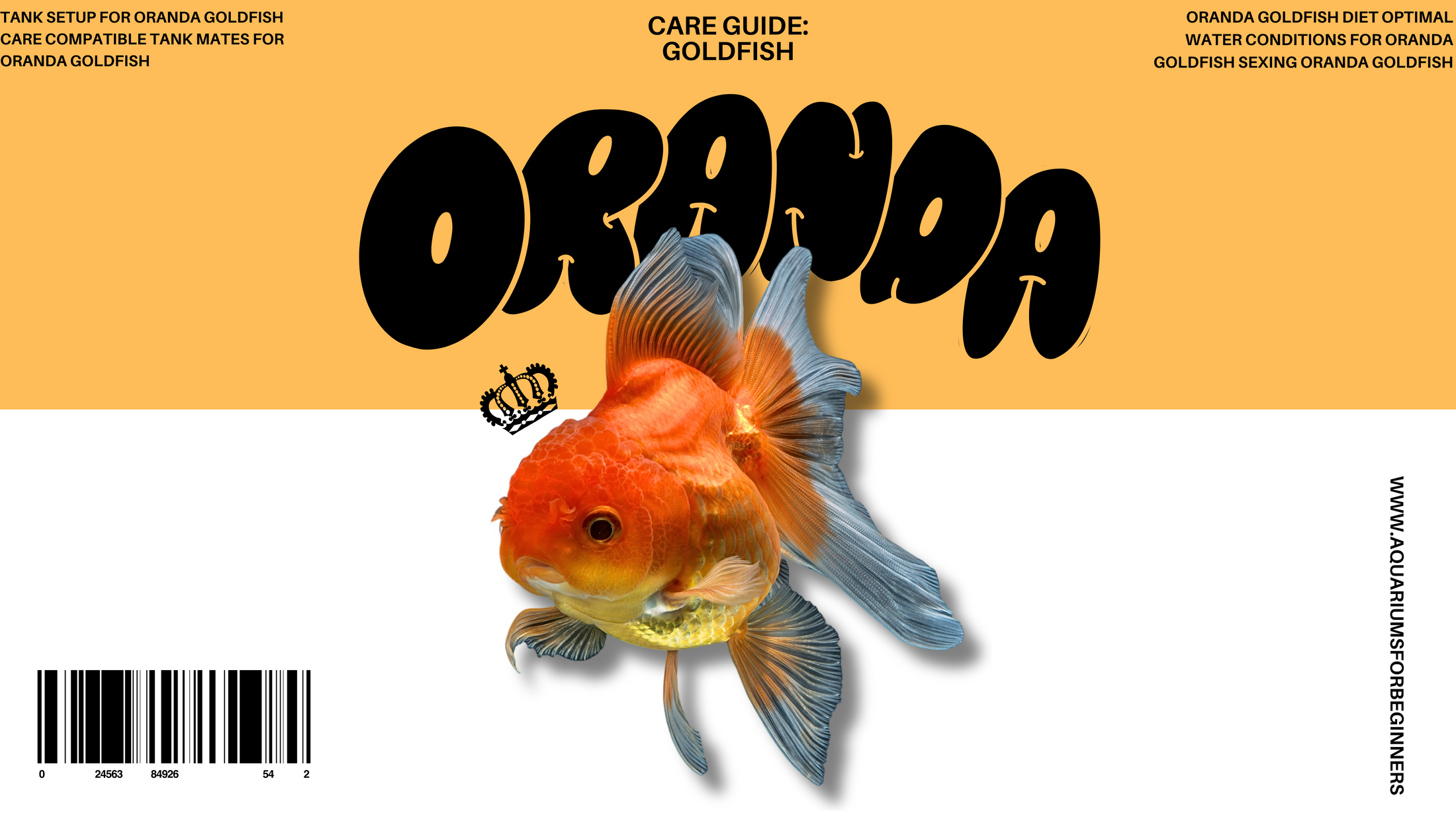 The Definitive Oranda Goldfish Care Guide (2024) – Aquariums For Beginners